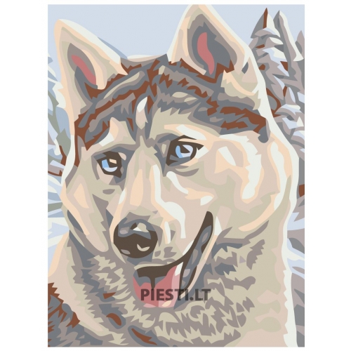 Pieškite pagal skaičius A59