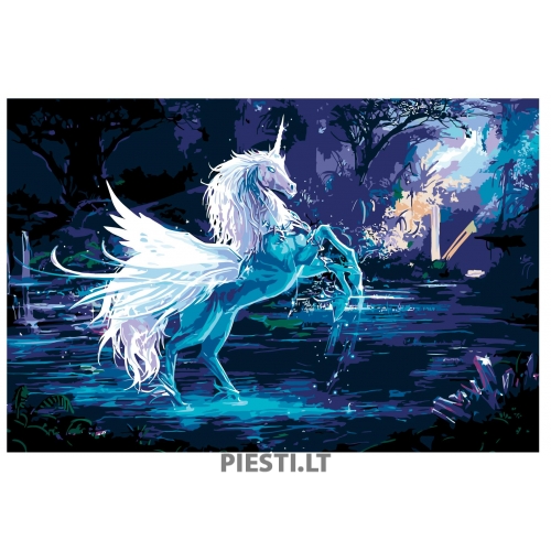 Pieškite pagal skaičius Z4691